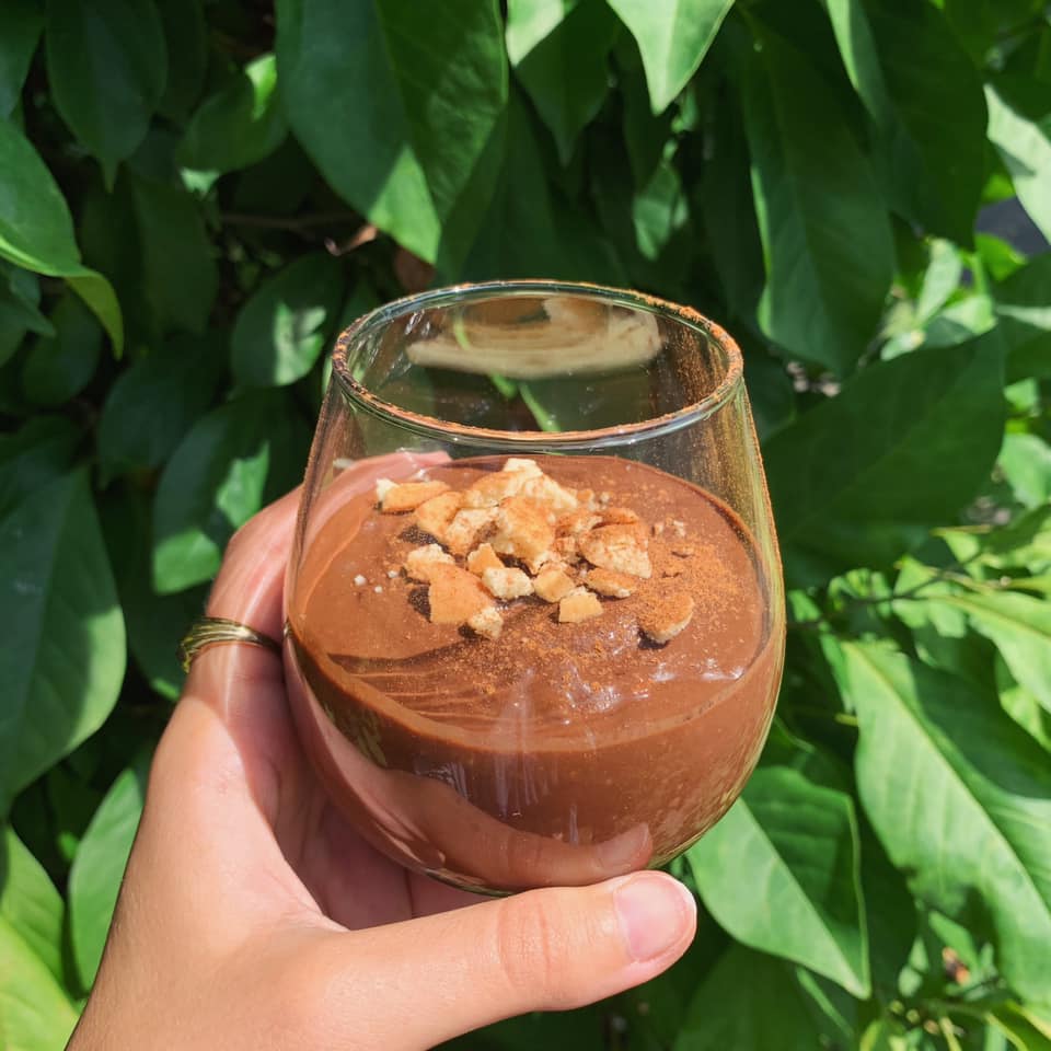 Avocado Pudding Recipe – Basics with Bri